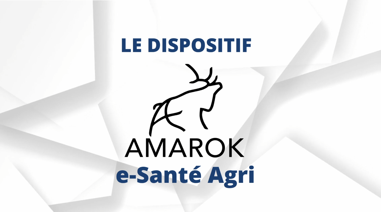 On parle du Labex - Labex Entreprendre